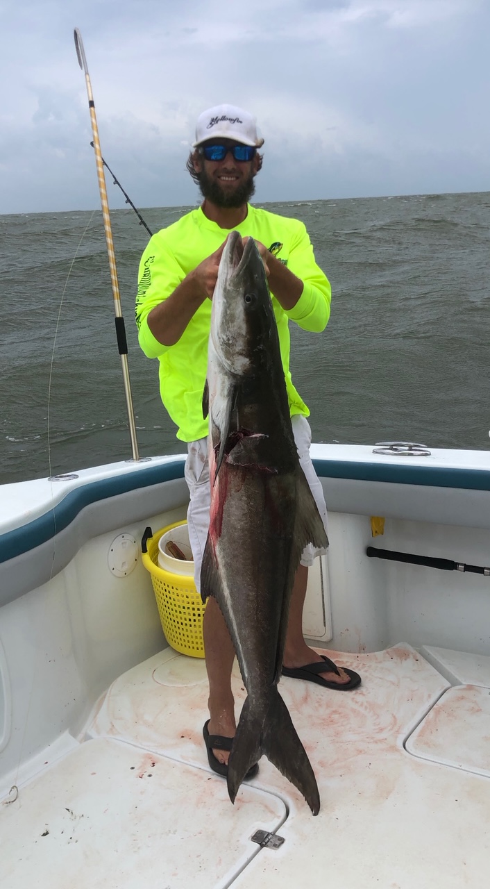 Venice Fishing Reports by Champion Fishing Charters