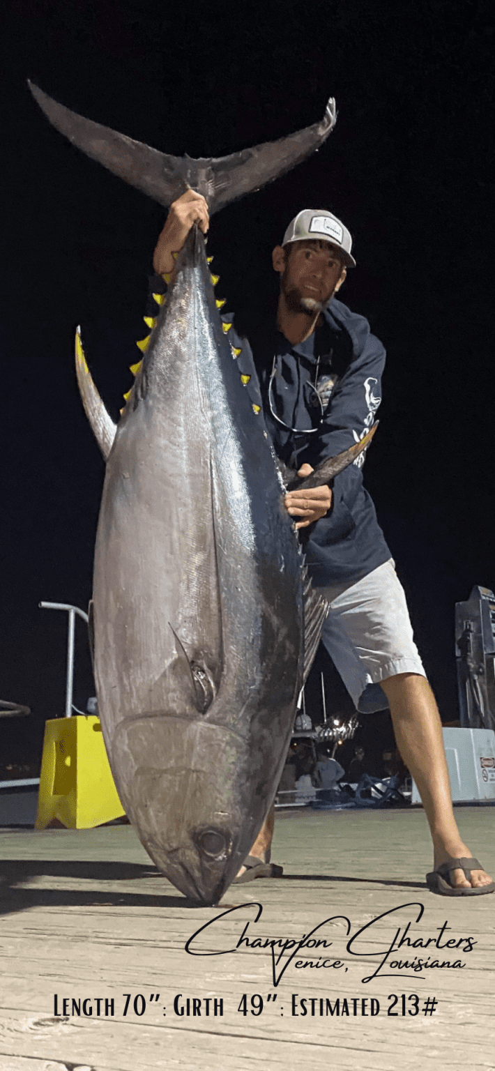 Venice Fishing Reports by Champion Fishing Charters